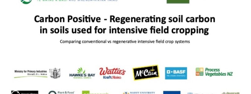 Carbon Positive Project February Update | Future Farming