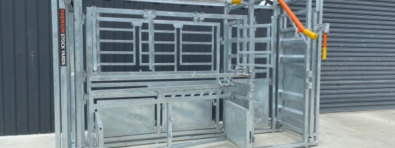 New Zealand Farmers Embrace Advanced Cattle Handling Equipment for ...