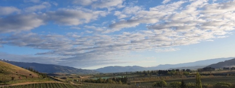 Transforming vineyard operations through the adoption of technology in ...